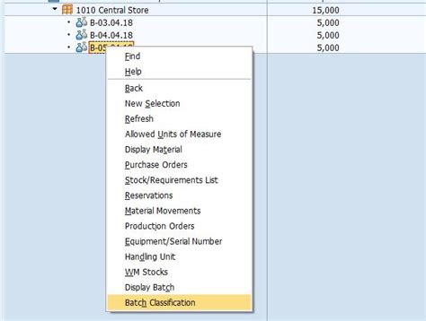 Solved Batch Classification General Data Is Not Appearing Sap Community
