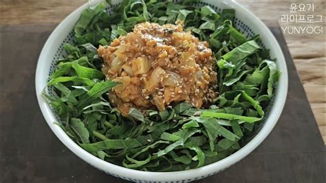 Sub 한그릇 메뉴 3가지 한그릇으로 맛있게 먹어요🍛 집밥브이로그 살림브이로그 살림꿀팁 윤요기 Youtube