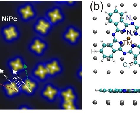 Color Online A Topographic Image Of Copc And Nipc Molecules