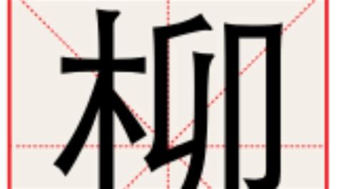 City News Services 城市资讯服务商