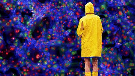 Video Revvity For Life Sciences On Linkedin Advances In High Content