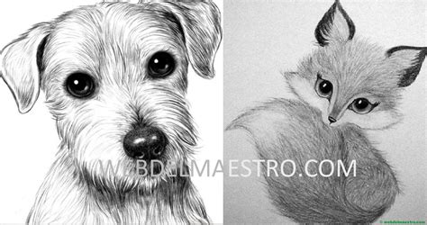 Dibujos A Lapiz Faciles Para Ni Os De A A Os Geniales Im Genes De Dibujos A L Piz