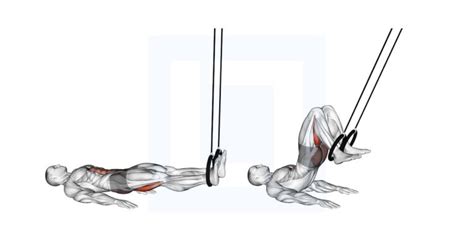 Single Leg Heel Touch Squat Guide Benefits And Form