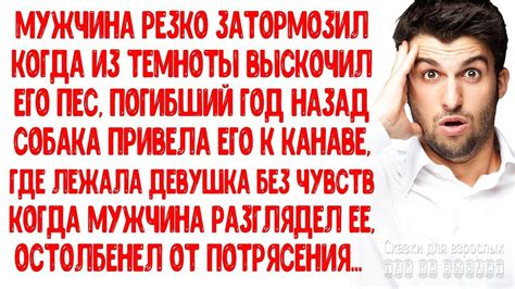 Увидел своего пса погибшего год назад который привел его к девушке