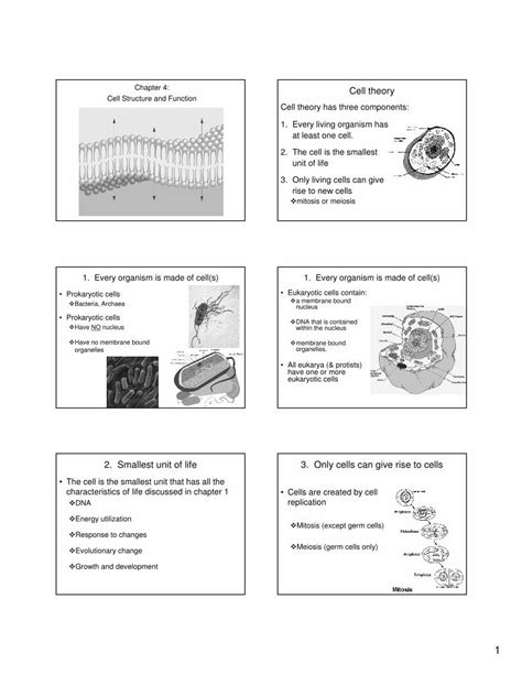 Pdf Chapter Cell Theory Cell Structure And Function Cell Theory