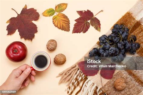 마른 잎 커피 한 잔 호두 베이지 색 배경에 포도격자를 손으로 가을에 대한 스톡 사진 및 기타 이미지 가을 건조한 계절 Istock