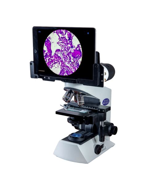 Mx21i With Digital Head