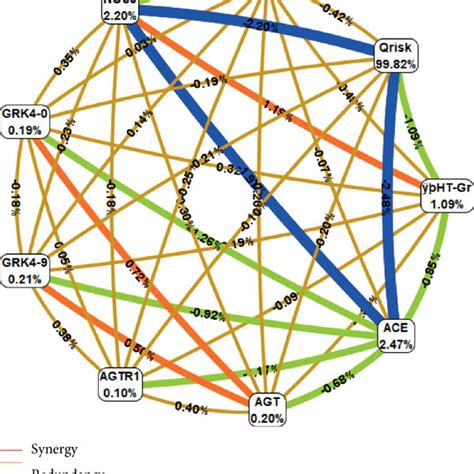 Circular Graph Of Genotype Interaction Between Cardiovascular Risk