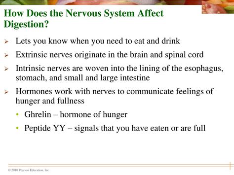 PPT Chapter 3 Digestion Absorption And Transport PowerPoint