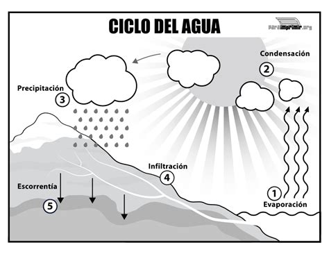 Dibujos Del Ciclo Del Agua Para Imprimir Dibujos Para Ninos Ciclo Images