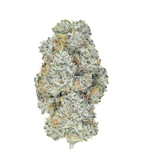 Gelato Float Strain THCa Flower Indoor Sherlocks Glass Dispensary