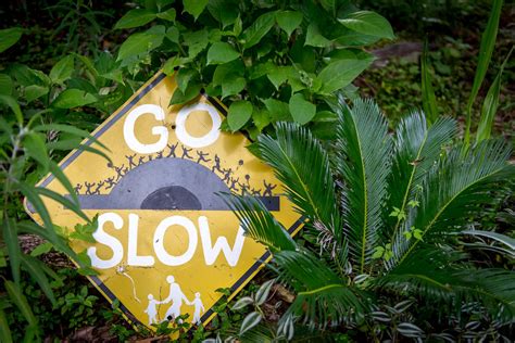 Visit Nimbin Visit Nimbin Added A New Photo