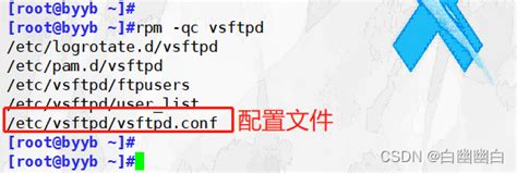 linux网络服务之文件共享 ftp nfs linux文件服务器软件 csdn博客