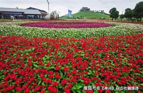 太湖世界文化论坛永久落户安徽蚌埠 第六届年会筹备工作有序进行建设