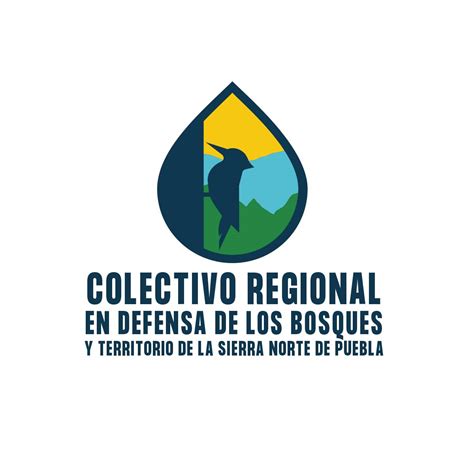 Colectivo Regional En Defensa De Los Bosques De La Sierra Norte De Pue