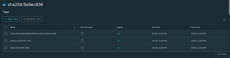 UI Hovering Over Tags Of An Artifact In A Repository Shows X