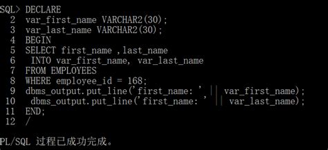 Sqlplus执行plsql语句块 Happy2share 博客园
