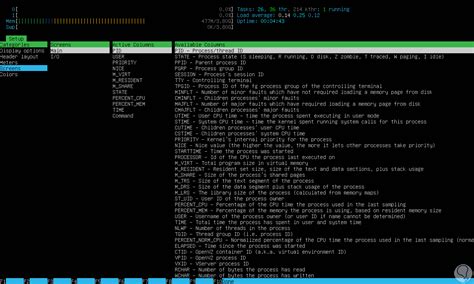 Monitorizar Rendimiento Servidor Linux Solvetic