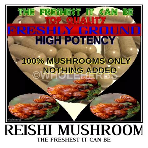 Ganoderma Lucidum Benefits