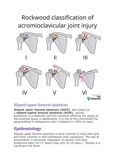 Important Radiological Classification Of Fracture And Avn Pdf