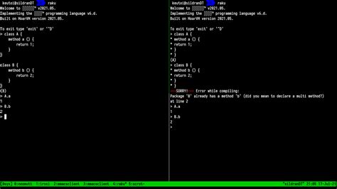 Raku Compilation Error Only When Using The Repl Stack Overflow