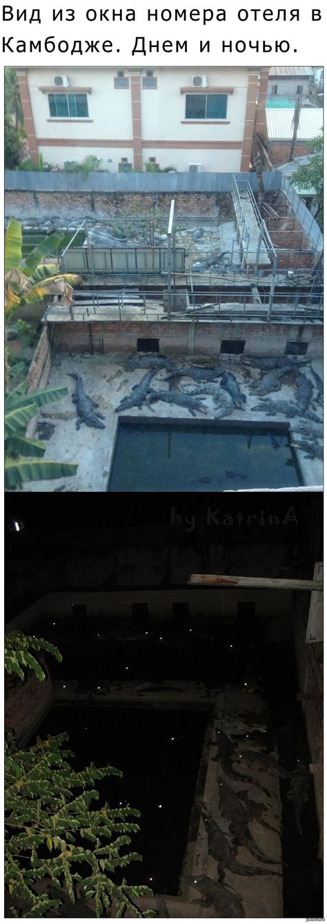 Вид из окна номера отеля в Камбодже Днем и ночью Пикабу