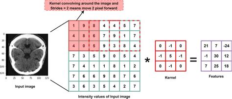 The Convolutional Layer Convolving Around The Input Image And Download Scientific Diagram