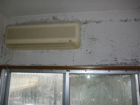 【東京都杉並区】壁コンクリート下地結露カビを止めましょう！ ブログ 埼玉の防カビ工事なら「有限会社プレモ」
