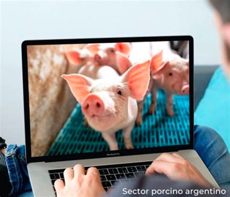 Informe Del Sector Porcino Argentino Septiembre 2022