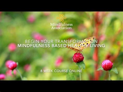 Mindfulness Association On Linkedin Mindfulness Based Healthy Living