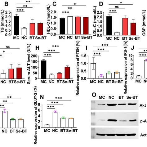 Ace Ameliorated Hfd Induced Adipose Tissue Injury A Representative
