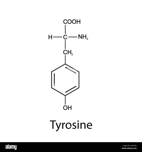 Chemical Formula Of Tyrosine Essential Amino Acids Organic Chemistry