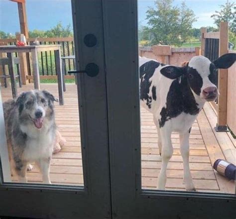 Mom Can My Friend Come Over Eyebleach