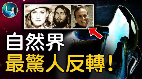 1983年冰島附近的母子分離，成就轟動世界的海洋霸主。事後人類才發現，這樣的「愛」其實只是傷害⋯｜ 未解之謎 扶搖 Videos 未