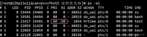 Linux Csdn