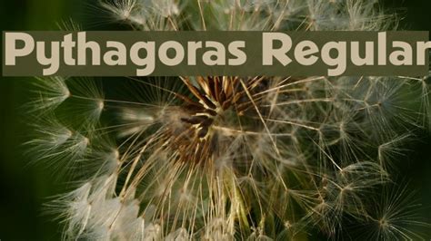Pythagoras Regular Font