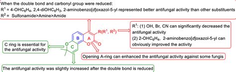 Of The Structure Activity Relationships Observed For The Tested