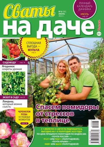 Журнал сад огород и дачи читать онлайн