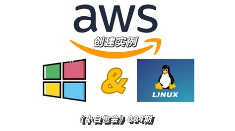 【小白也会】丨亚马逊云aws ec2教程：如何创建linux和windows实例，实例类型 安全组 弹性ip 远程登录 youtube