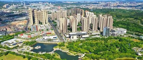 坪山区高质量推动法治先行示范城市建设规划服务发展