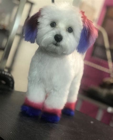 Kool Aid Hair Dye Diy Artofit