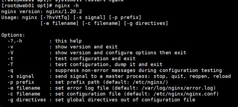 Getting Started With Nginx For Linux
