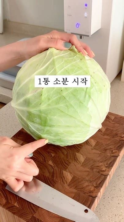 양배추 이렇게 소분하니 진짜 오래가요 양배추소분 살림 Youtube