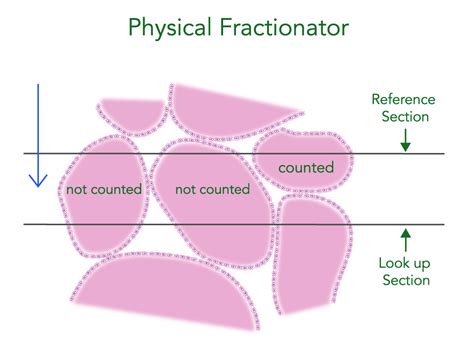 Gland PF Stereology Info