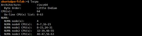 risc v公测平台发布 · stream带宽完整测试 risc v gstreamer csdn博客