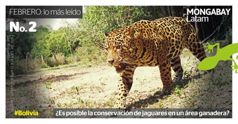 Imperdibles Las Cinco Noticias Ambientales Más Leídas De Febrero