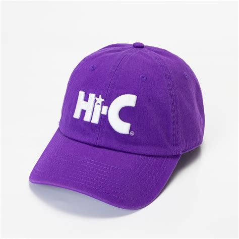 「american Needleアメリカンニードル」washed Slouch Purple Cap Regatto