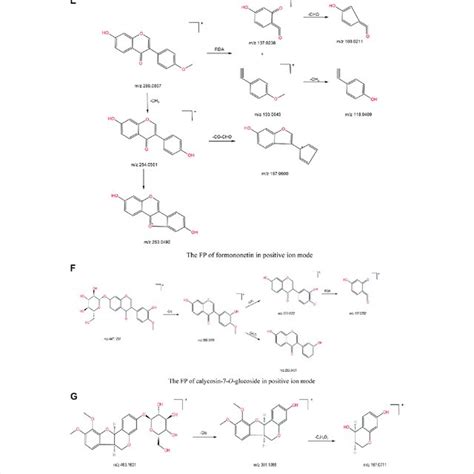 Uplc Q Tof Ms Total Ion Chromatogram Of Jinbei Oral Liquid In Negative