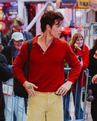 Shawn Mendes Page Lpsg