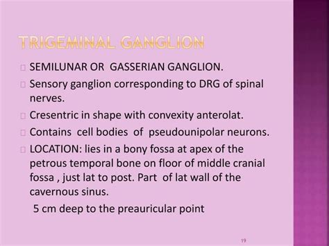 Trigeminal Nerve And Its Importance In Max Fac Surgery Pptx